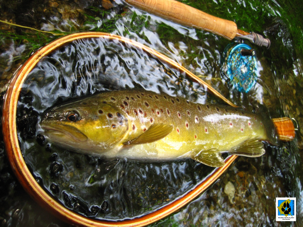 Riverstones, la passion de la pêche à la mouche - Riverstones